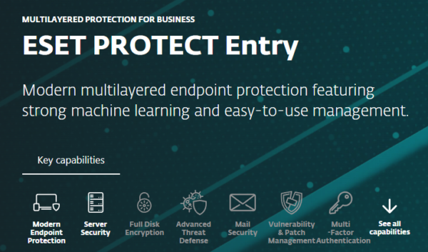 ESET Protect Entry: Endpoint Security for Small Businesses